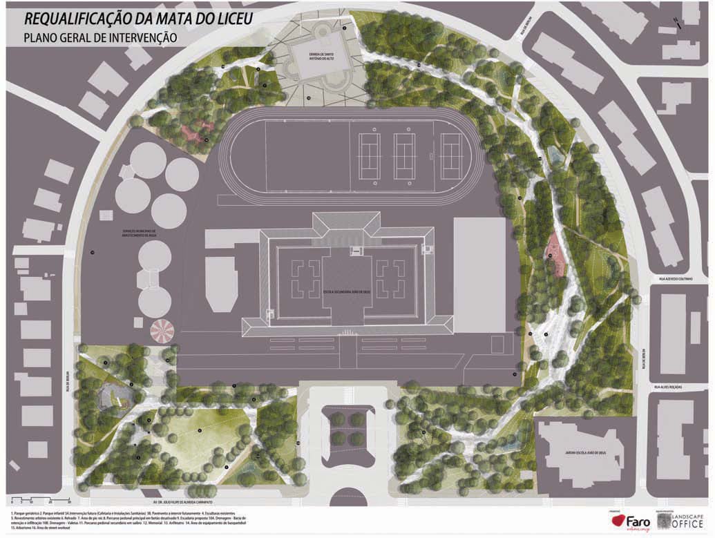 Faro: Revitalização da Mata do Liceu decorre com o parecer do ICNF