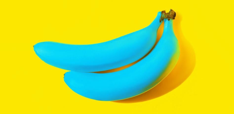 A banana azul que sabe a baunilha existe e vem das Canárias
