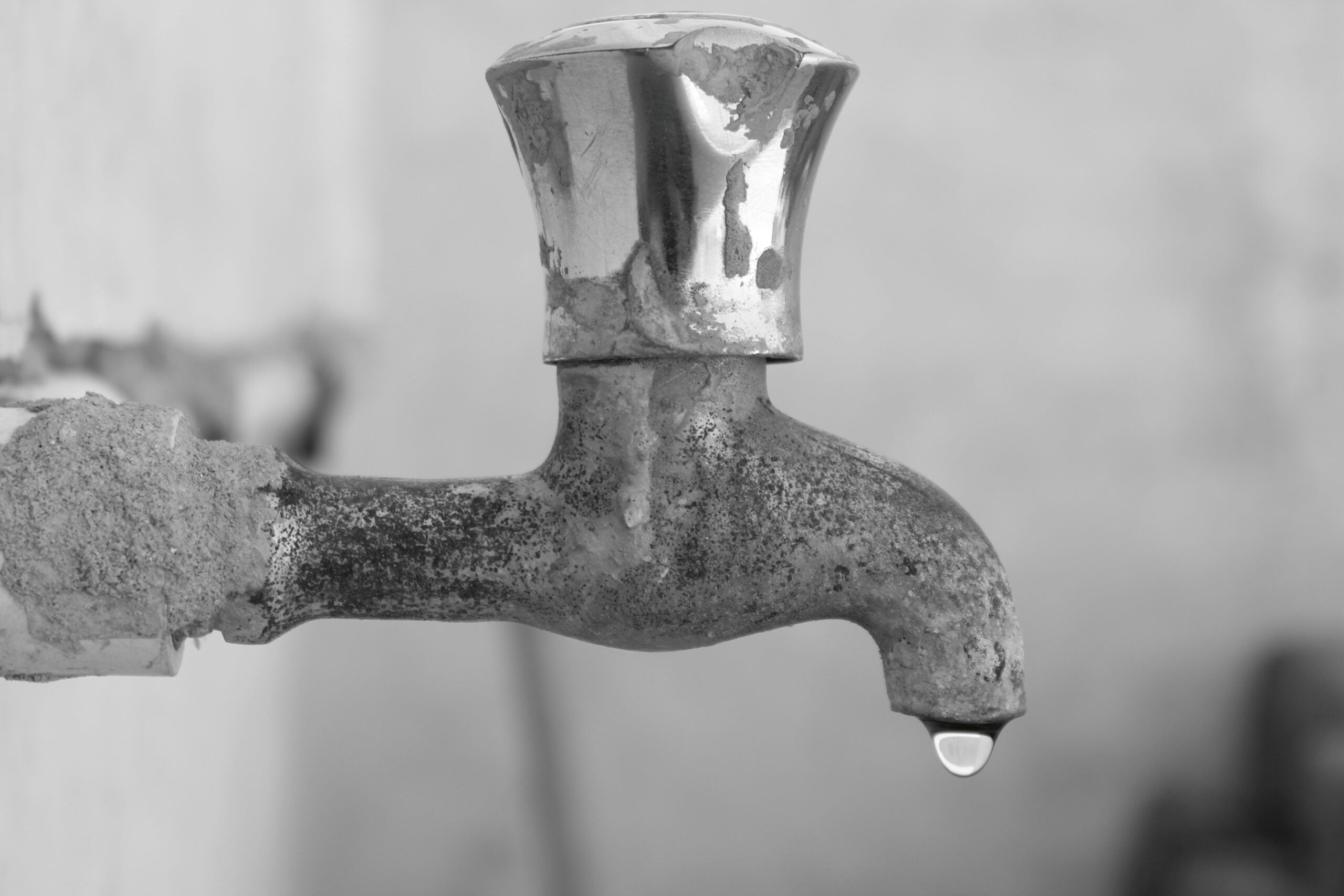 Selo "Save Water" criado para destacar eficiência hídrica no Turismo ...